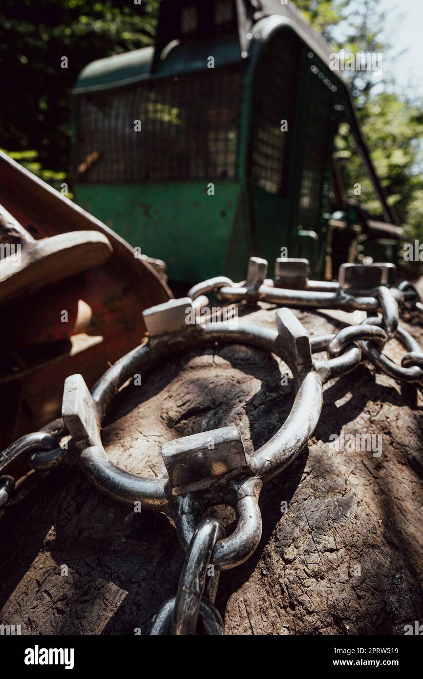Traction chains on the big wheel of a forest log truck Stock Photo - Alamy