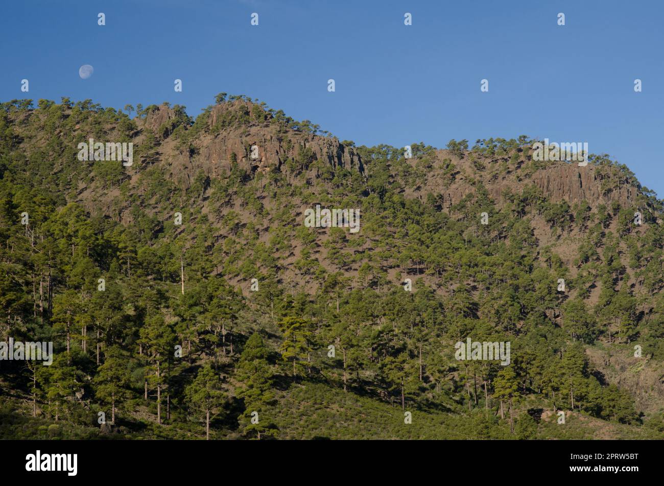 Integral nature reserve inagua hi-res stock photography and images - Alamy