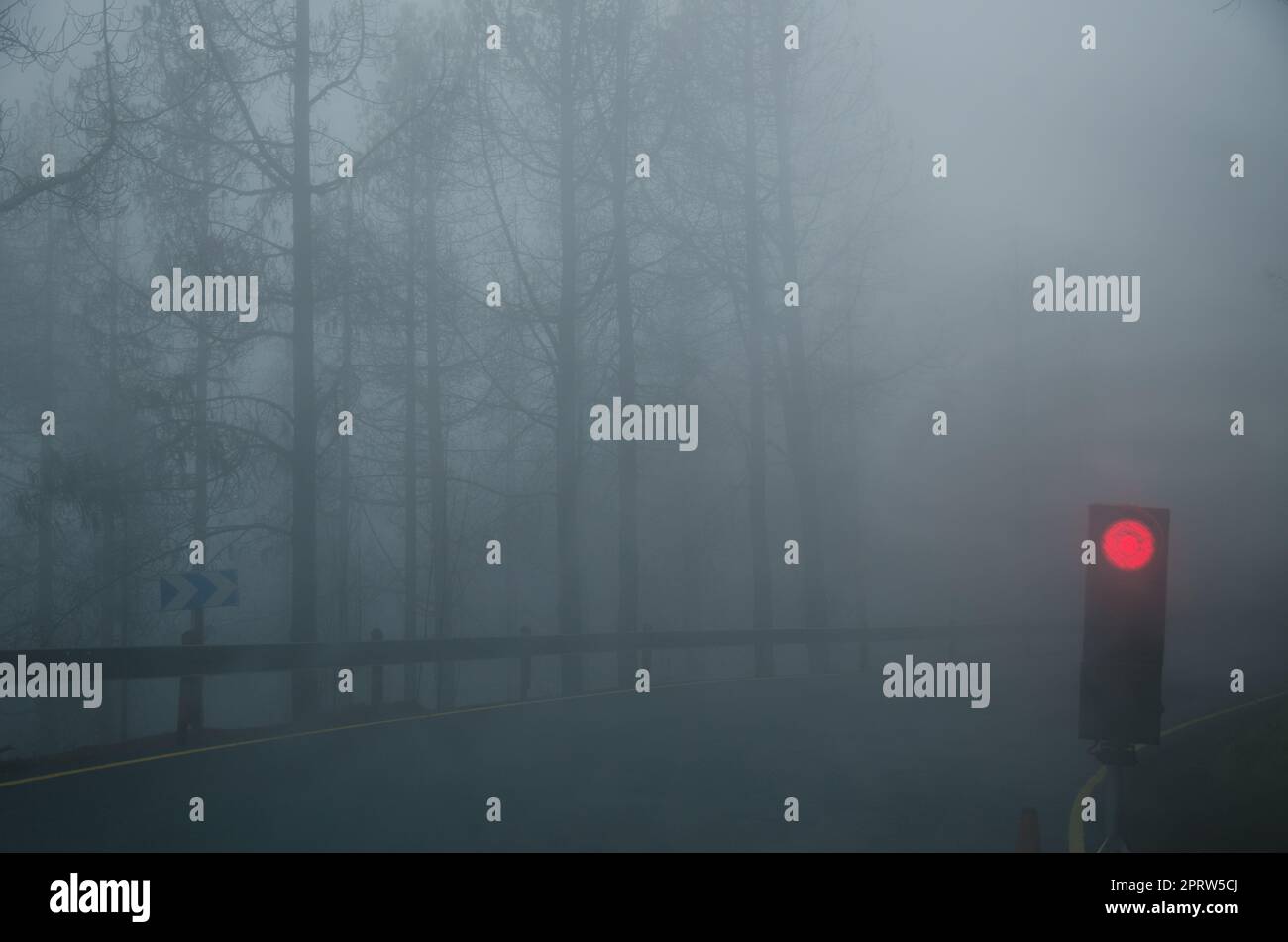 Light in a fog hi-res stock photography and images - Alamy