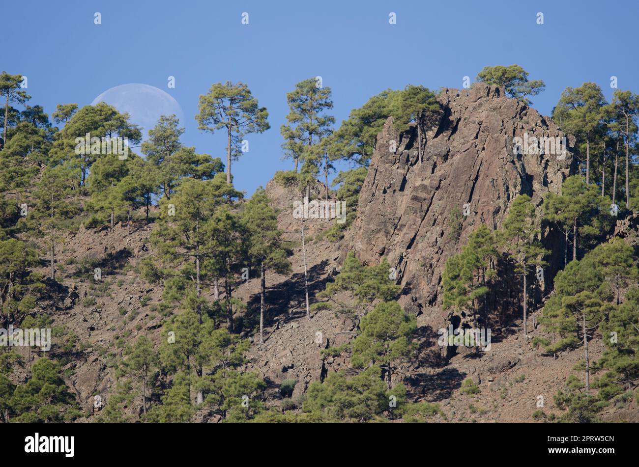 Forest cliff hi-res stock photography and images - Alamy