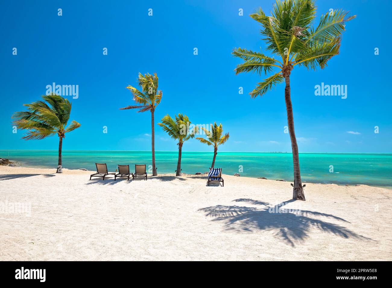 Caribbean beach in keys hi-res stock photography and images - Alamy