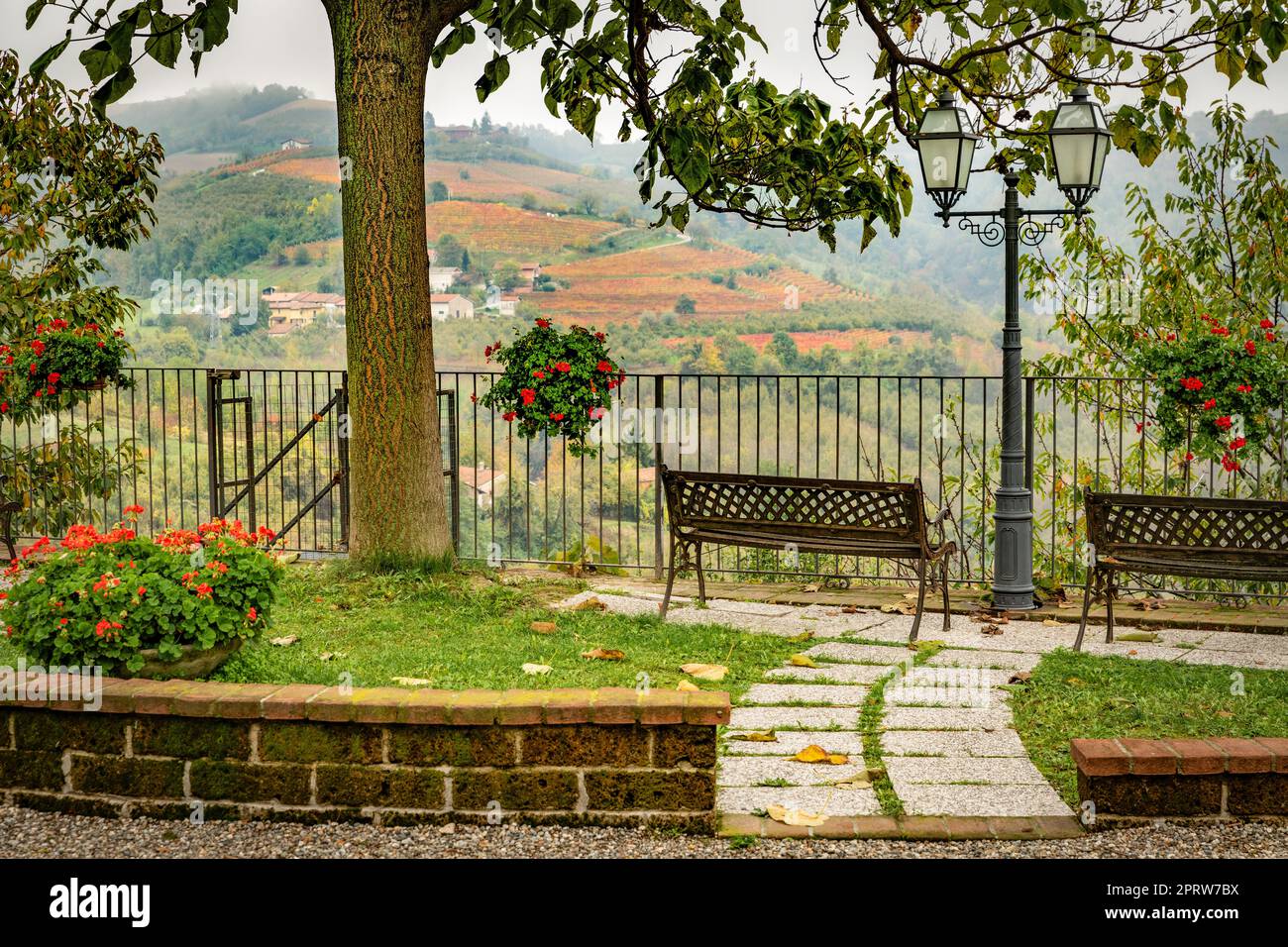 Landscape of Barolo wine region Stock Photo - Alamy