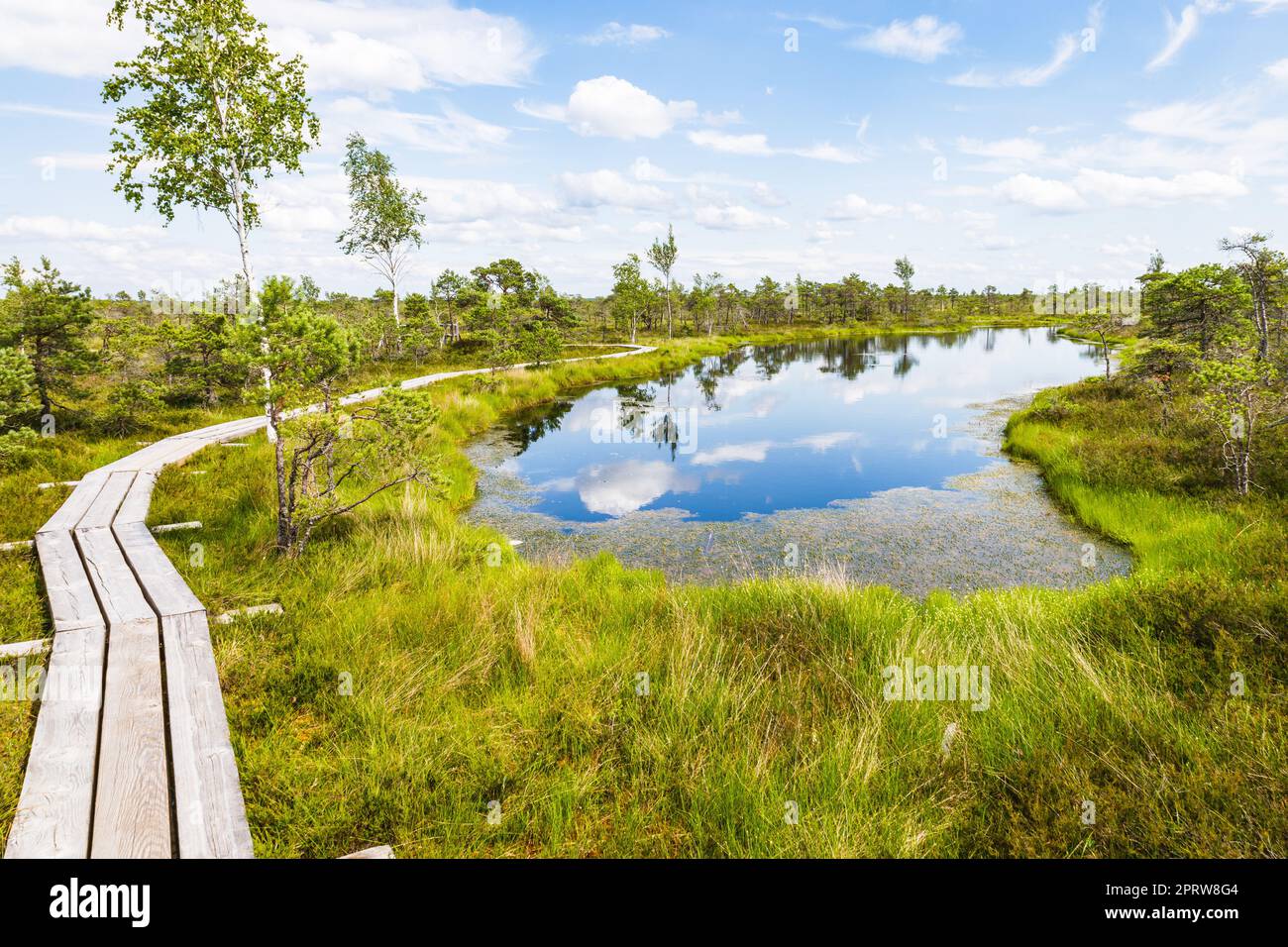 Great Kemeri Bog swamp at the Kemeri National Park in Latvia Stock ...