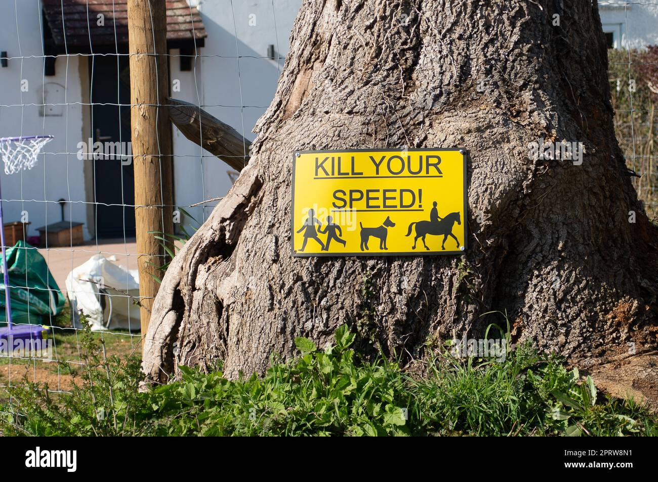 South Heath, Great Missenden, Buckinghamshire, UK. 20th April, 2023. A ...