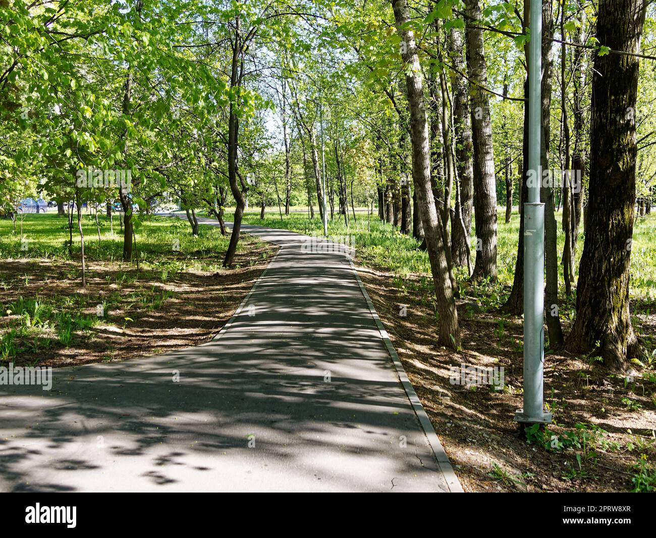Asphalt park hi-res stock photography and images - Alamy