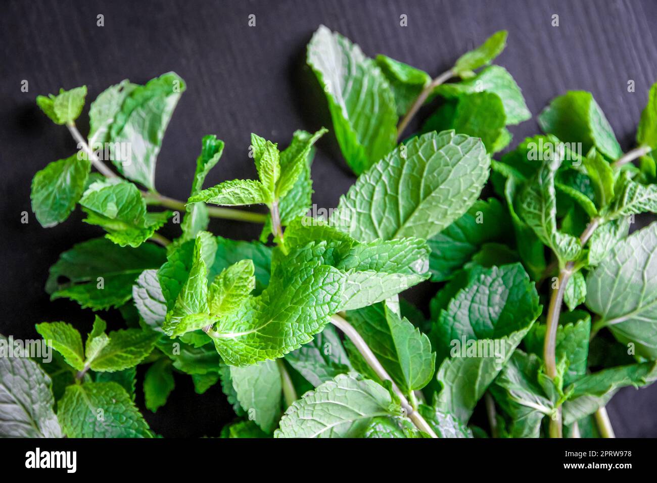 Bunch of fresh mint closeup view. Food background Stock Photo - Alamy