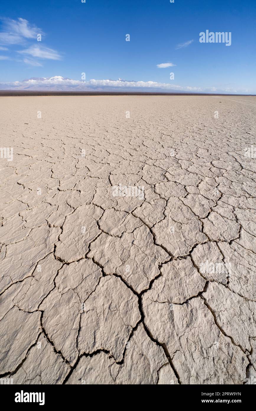 Barreal Blanca or Pampa del Leoncito, a dry lake bed in the Calingasta ...