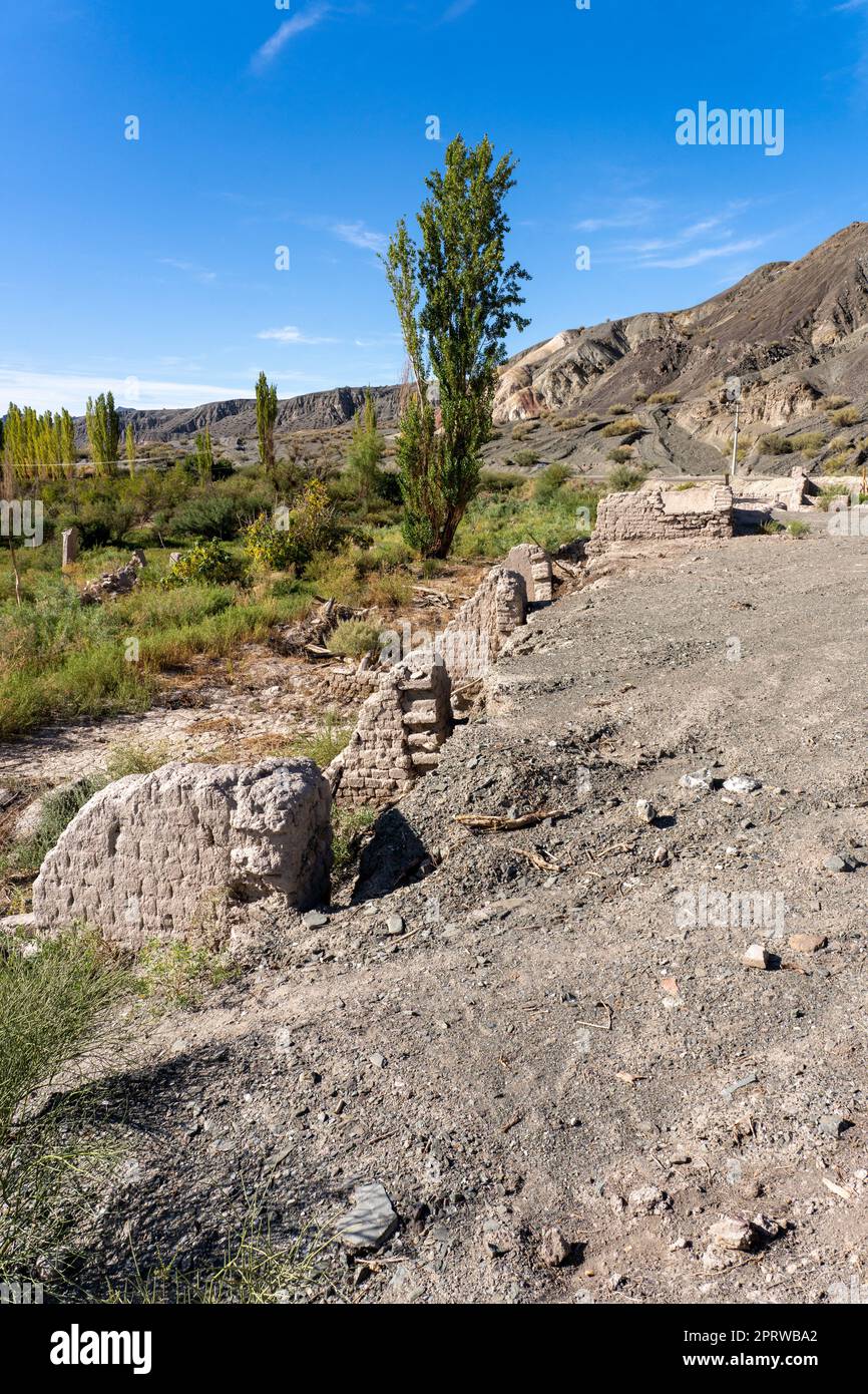 Adobe ruins of the old silver mill and smelter at Hilario in the ...