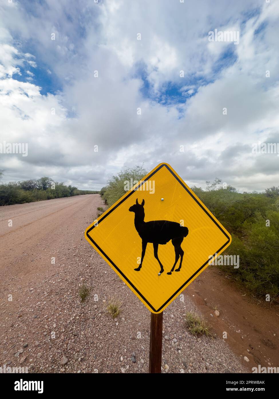 A road-side caution sign for guanacos on the road in Sierra de Las ...