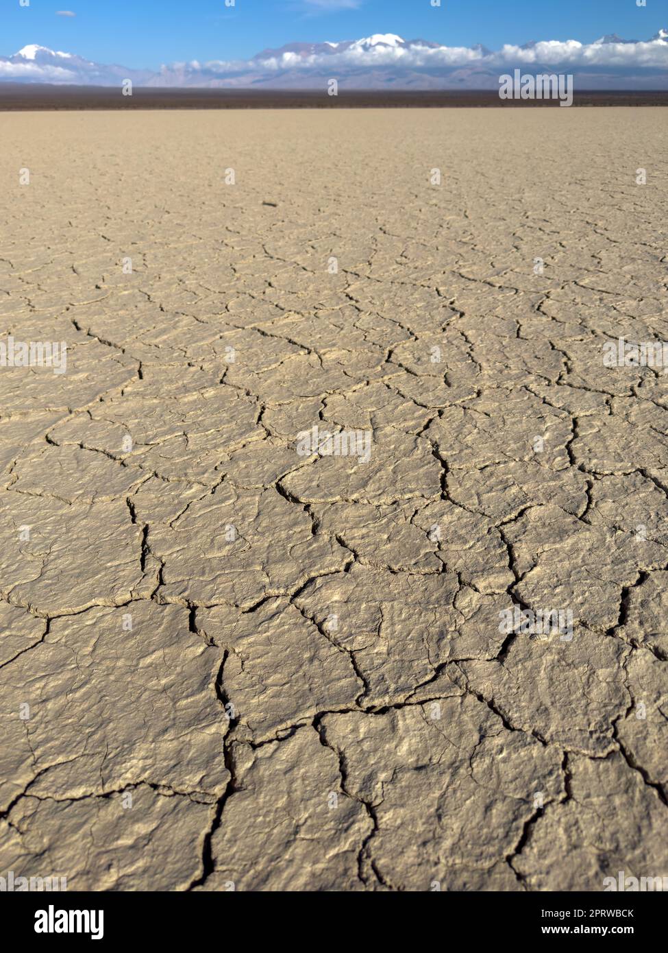 Barreal Blanca or Pampa del Leoncito, a dry lake bed in the Calingasta ...