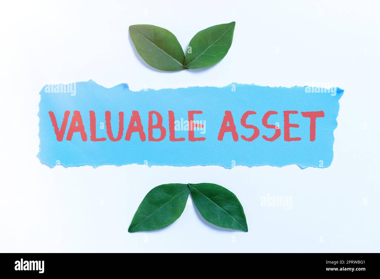 Sign displaying Valuable AssetYour most valuable asset is your ability ...