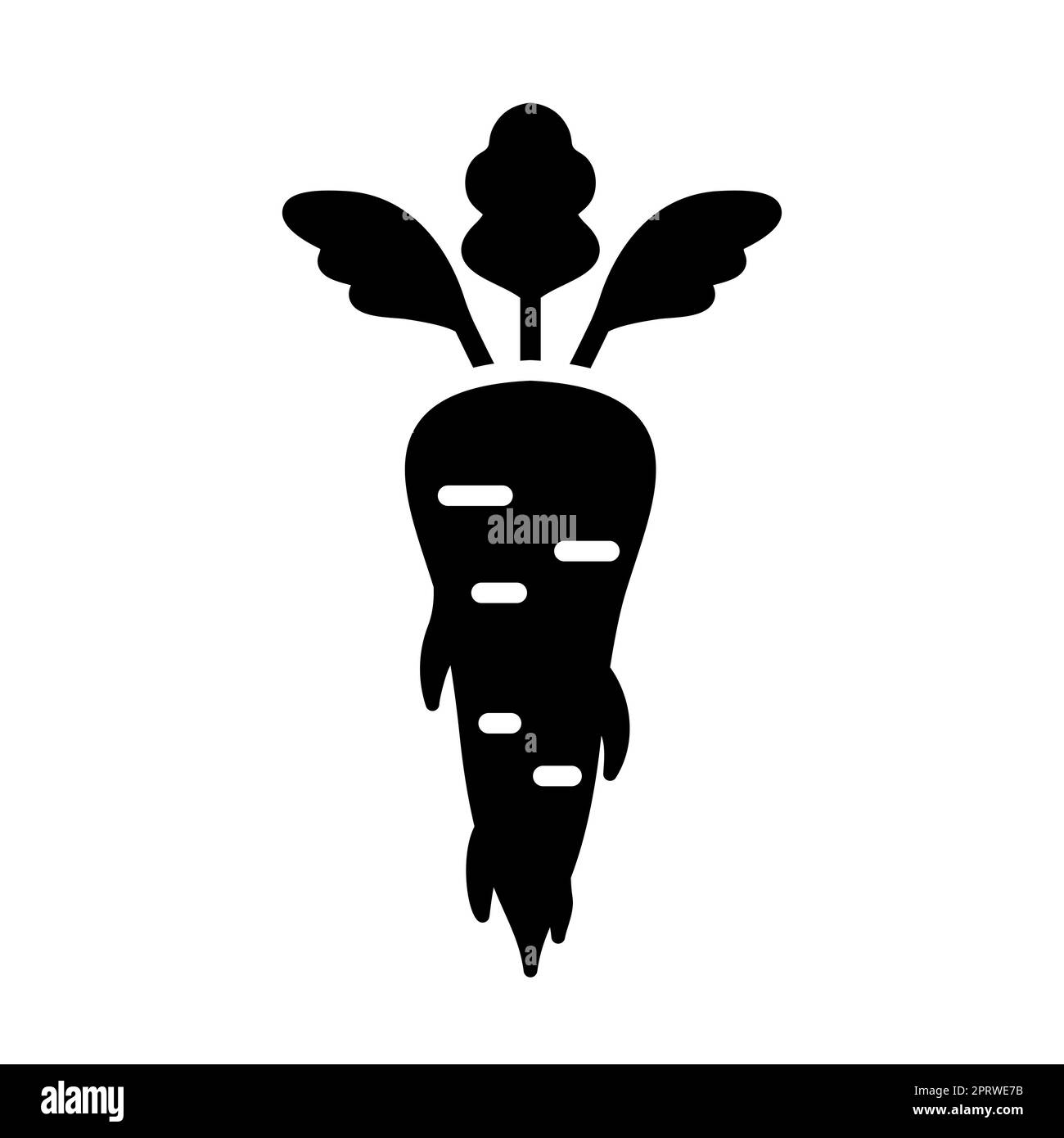 Parsley Root isolated vector glyph icon. Vegetable sign. Graph symbol ...