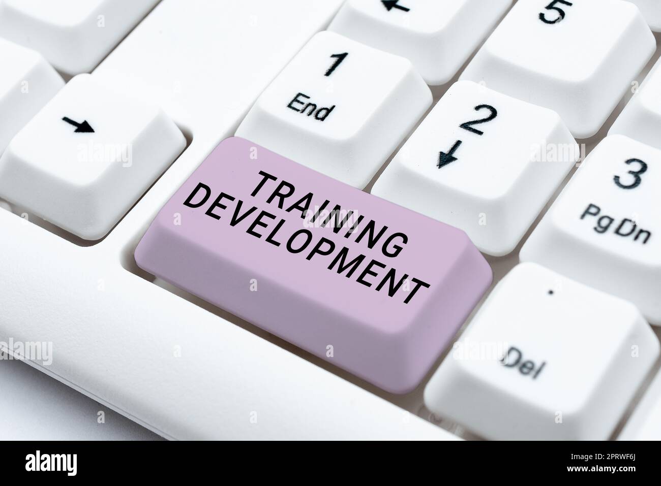 Inspiration showing sign Training Development, Business approach Learn ...