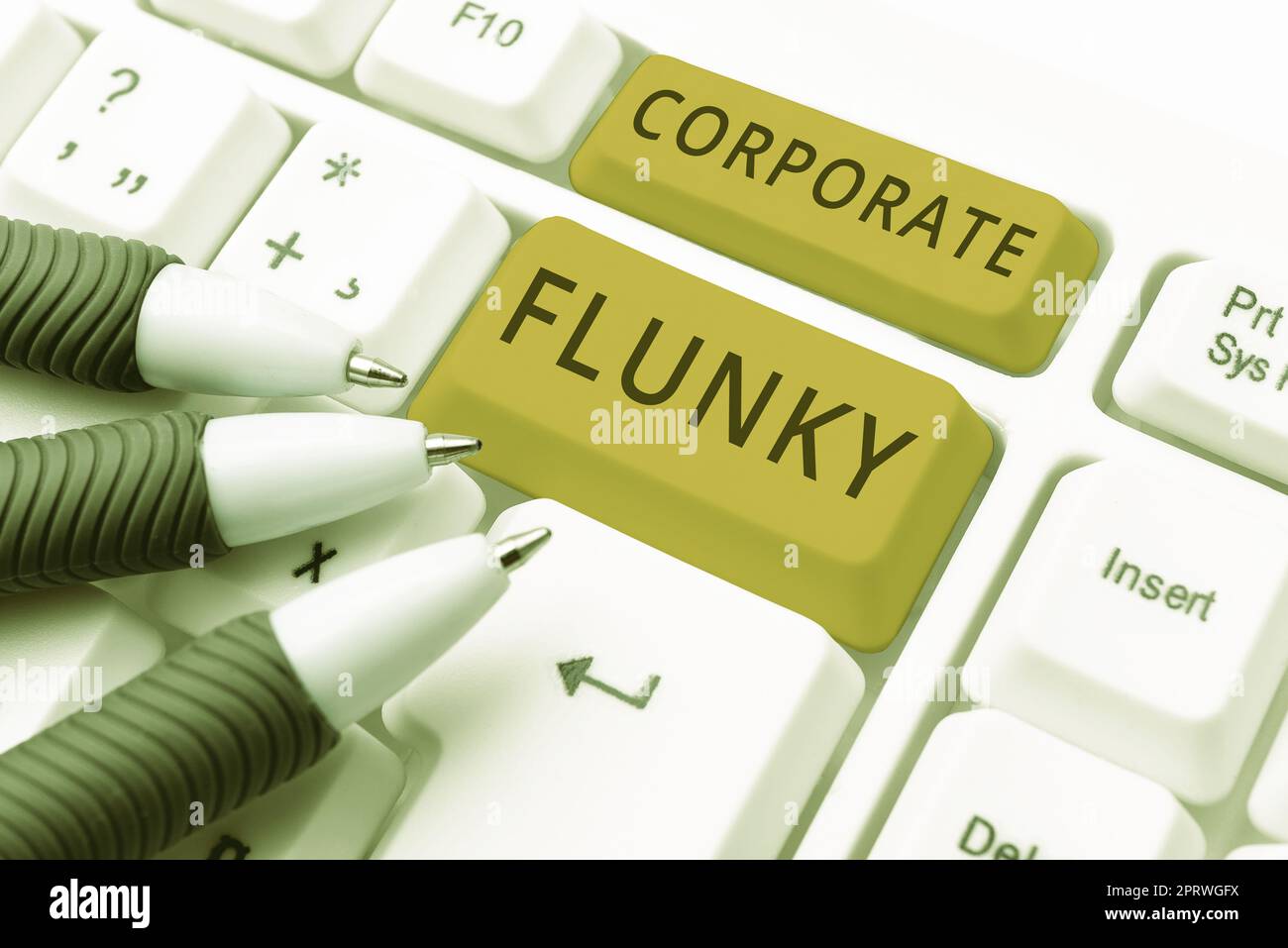 Writing displaying text Corporate Flunky, Word Written on investigating ...