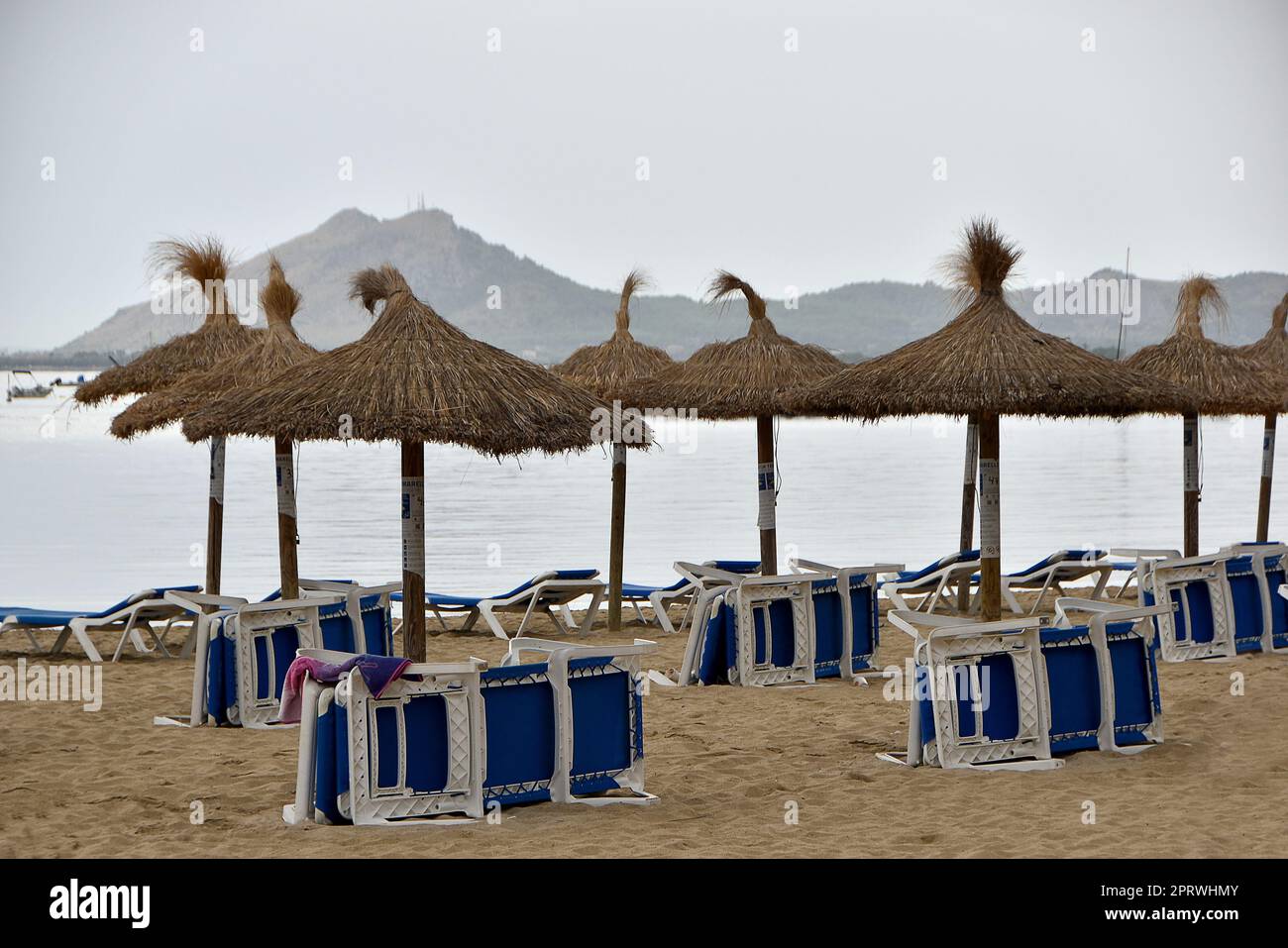 beach of Port de Pollenca Stock Photo - Alamy