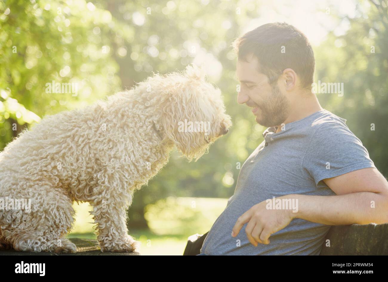 Happy dog and his owner Stock Photo - Alamy