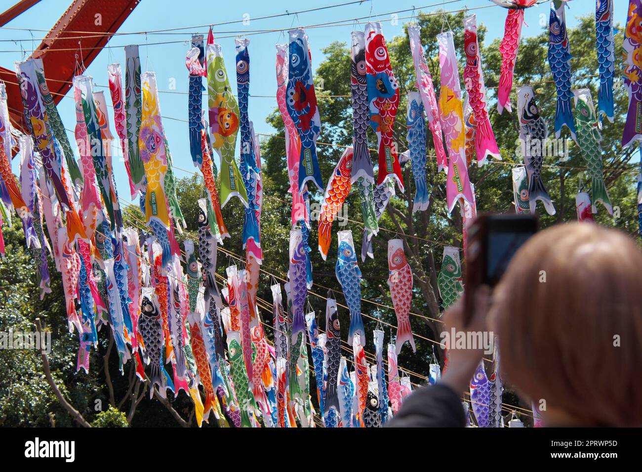 Tokyo, Japan. 27th Apr, 2023. About 333 Carp Streamers are seen display ...