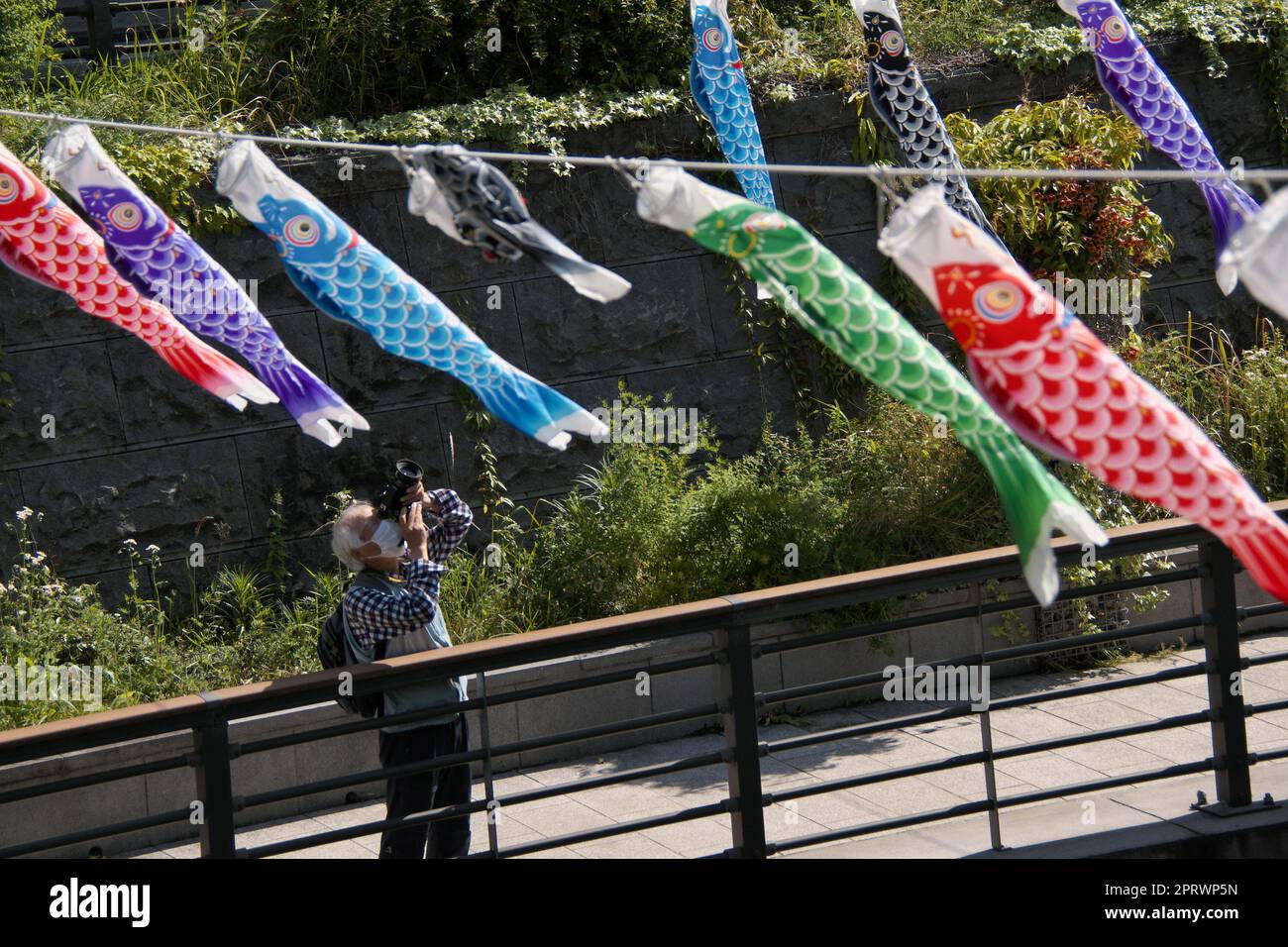 Tokyo, Japan. 27th Apr, 2023. About 1500 Carp Streamers are seen ...