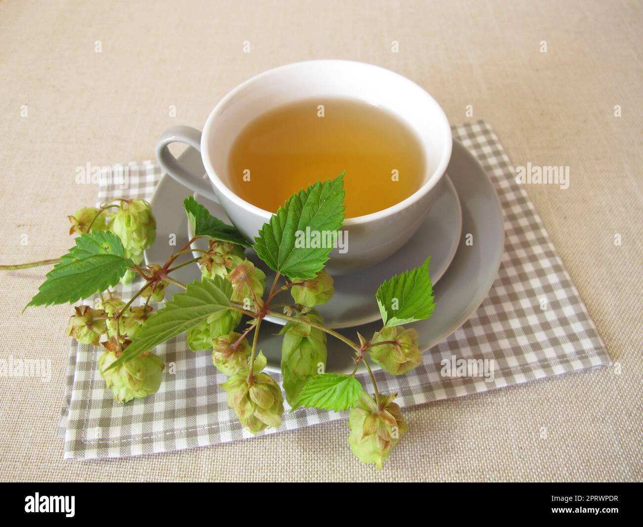 Herbal tea cup hi-res stock photography and images - Alamy