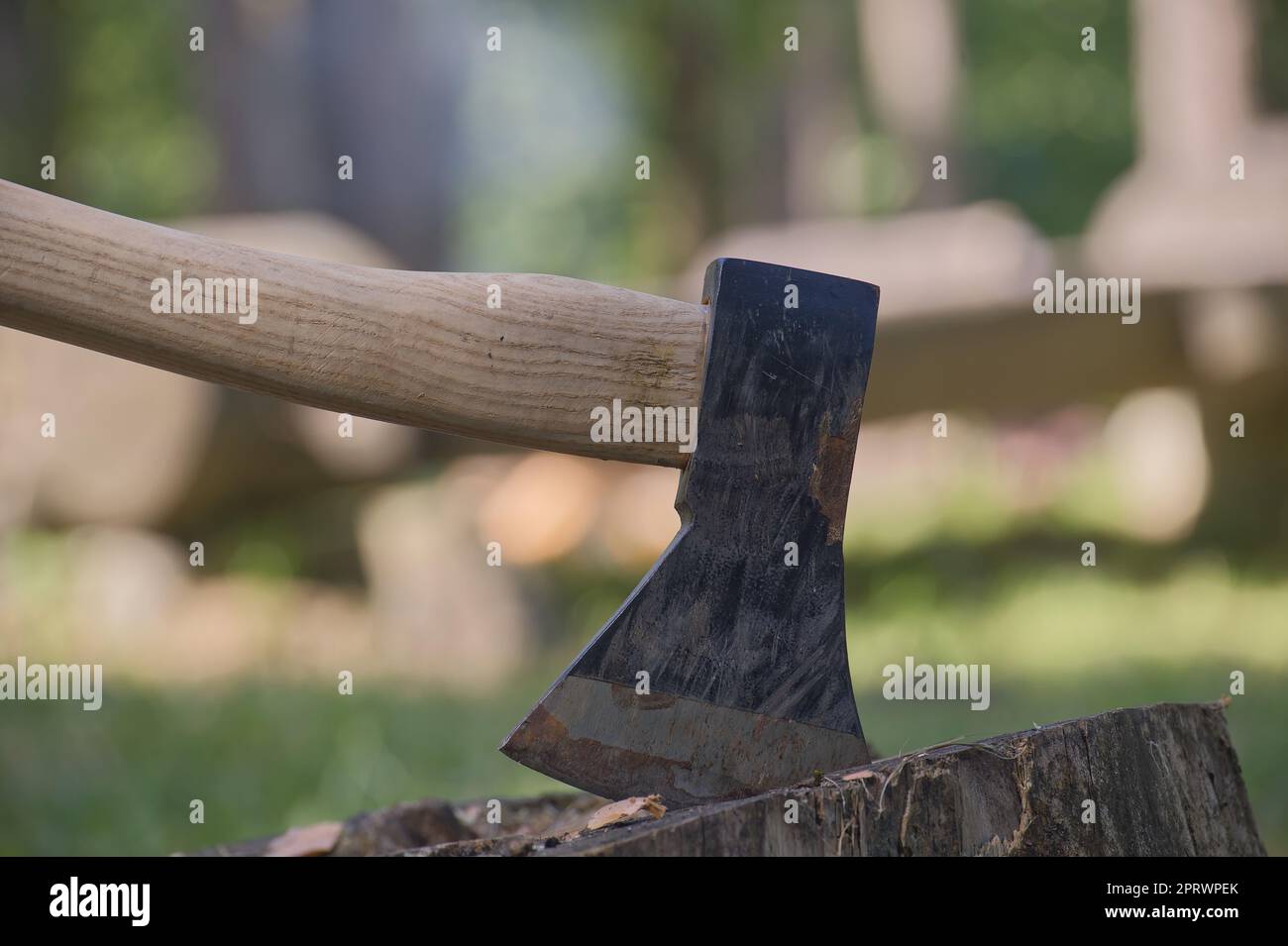 Chopper or ax stuck upright in a tree stump Stock Photo - Alamy