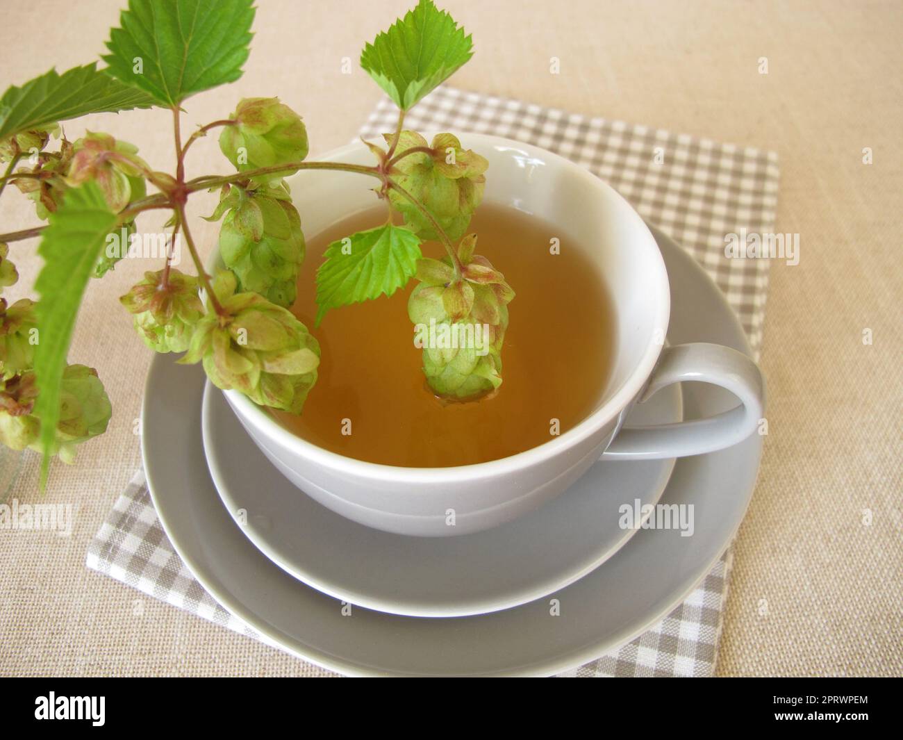 Herbal tea cup hi-res stock photography and images - Alamy