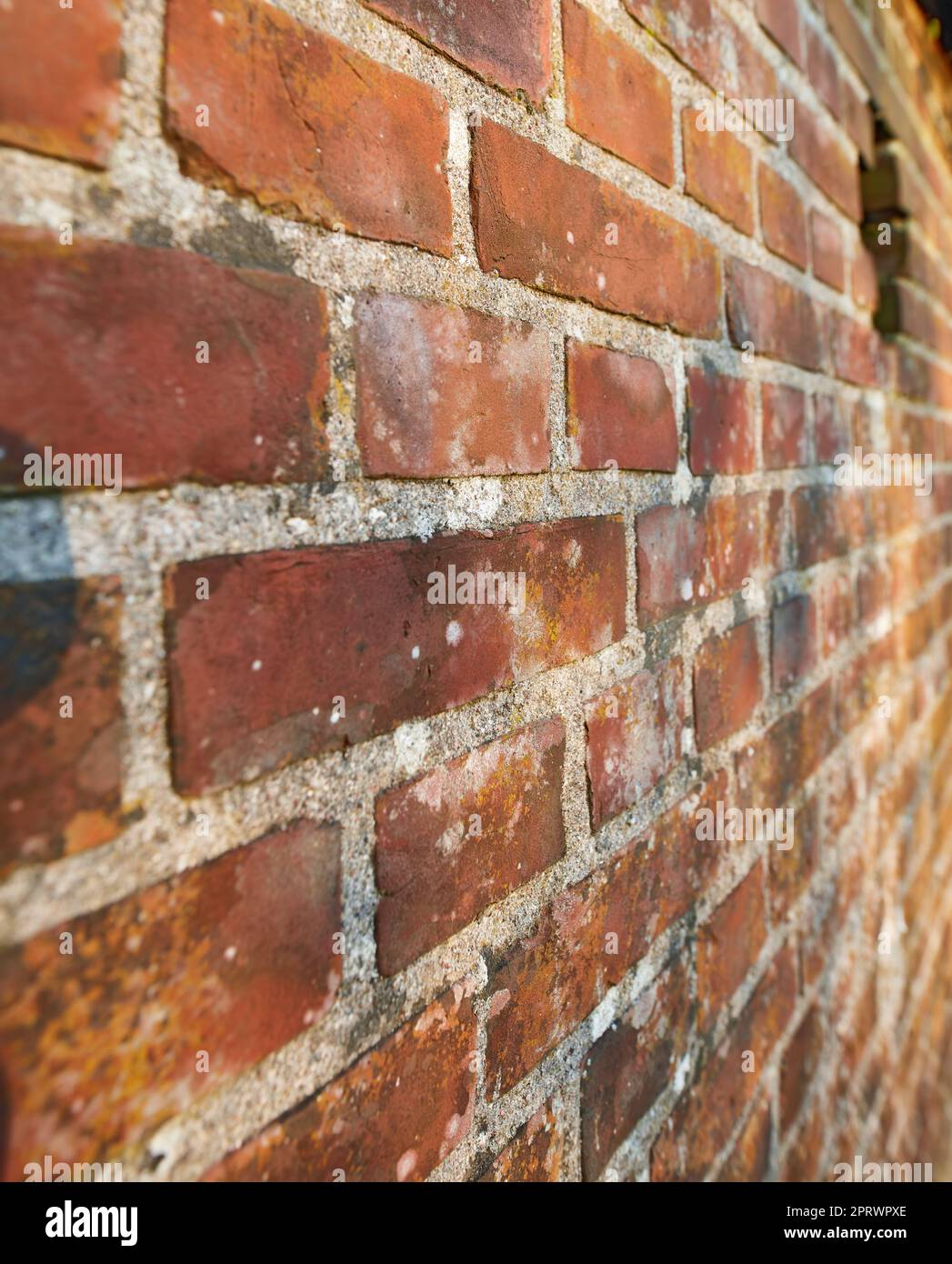 180 years old hi-res stock photography and images - Alamy