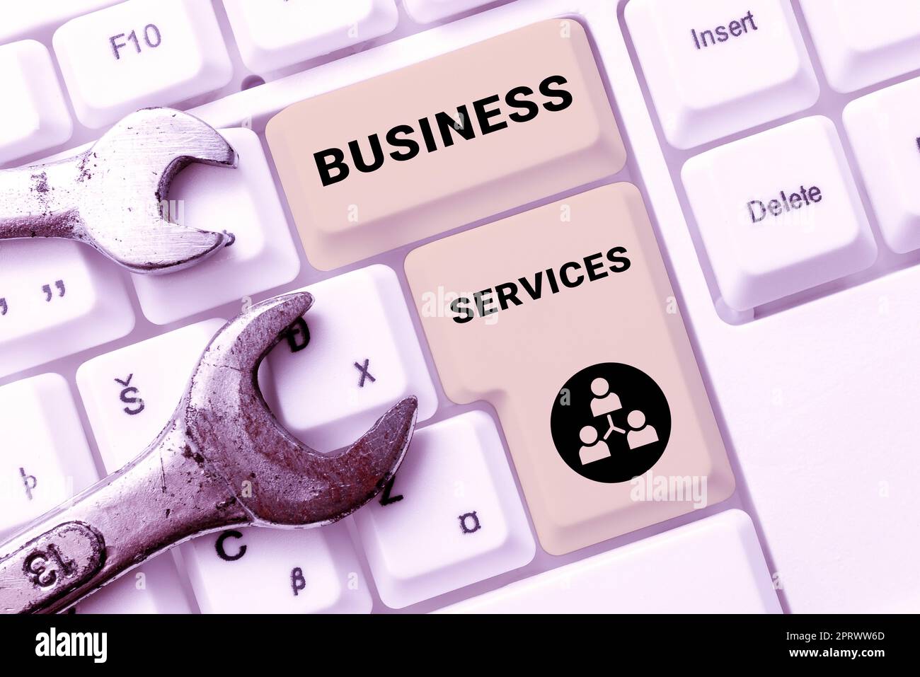 Conceptual caption Business ServicesProvides intangible products ...