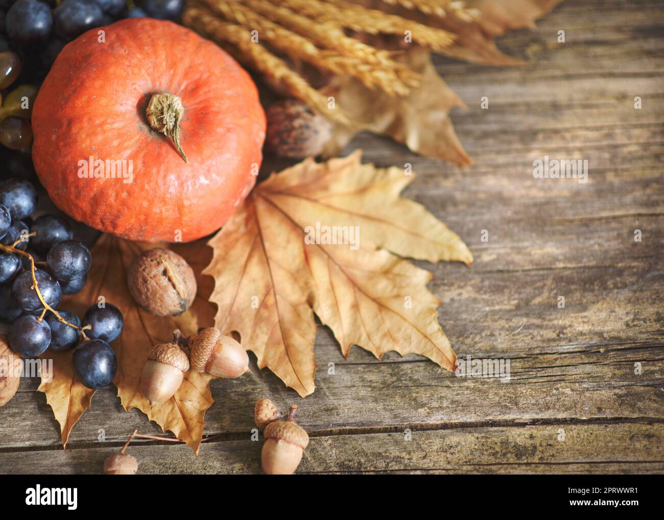 Thanksgiving pumpkin design Stock Photo - Alamy
