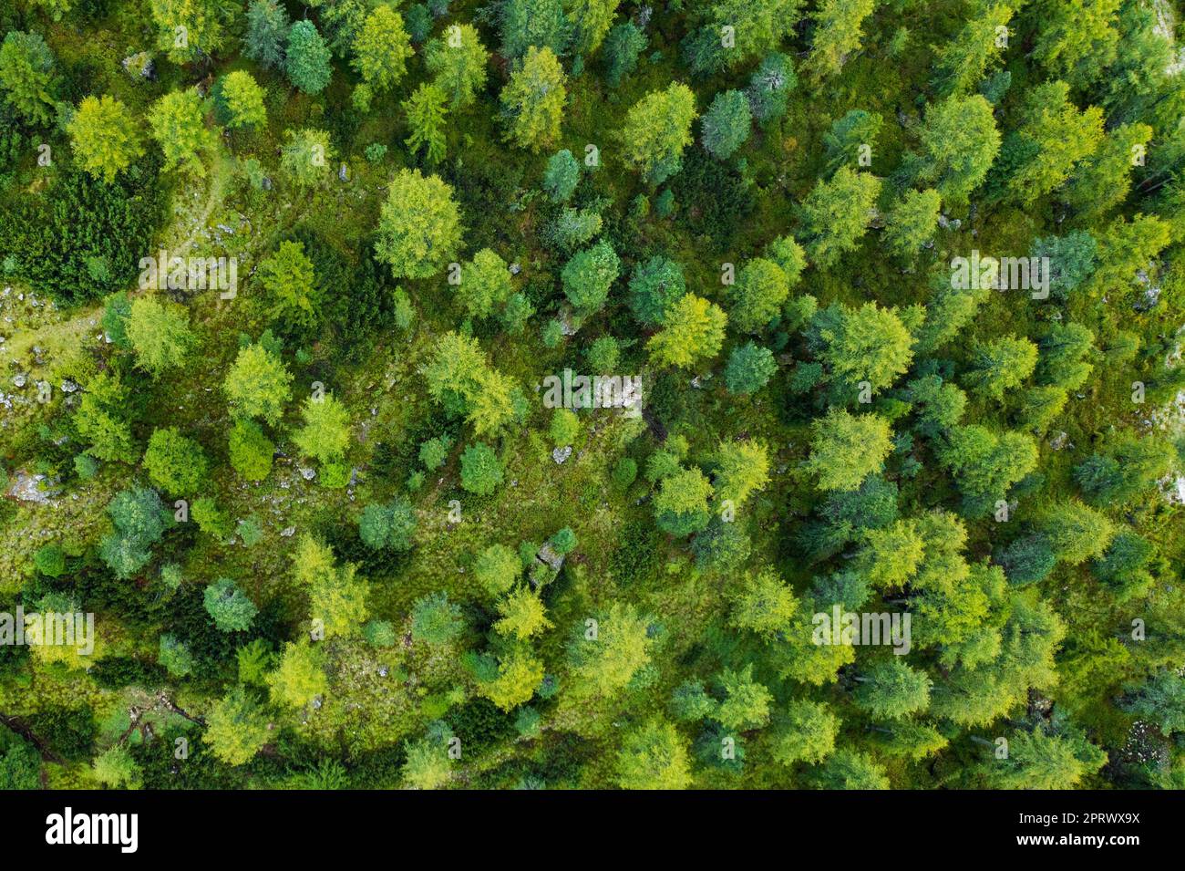 Top view majestic landscape hi-res stock photography and images - Alamy