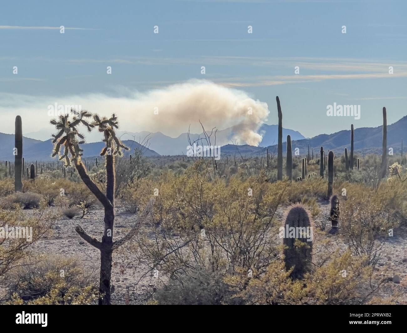 Fire smoke plume hi-res stock photography and images - Alamy
