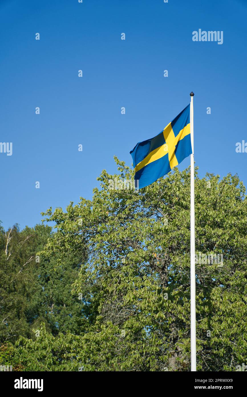 Sweden flag on flagpole on a farm in front of a tree in Smalland. blue ...