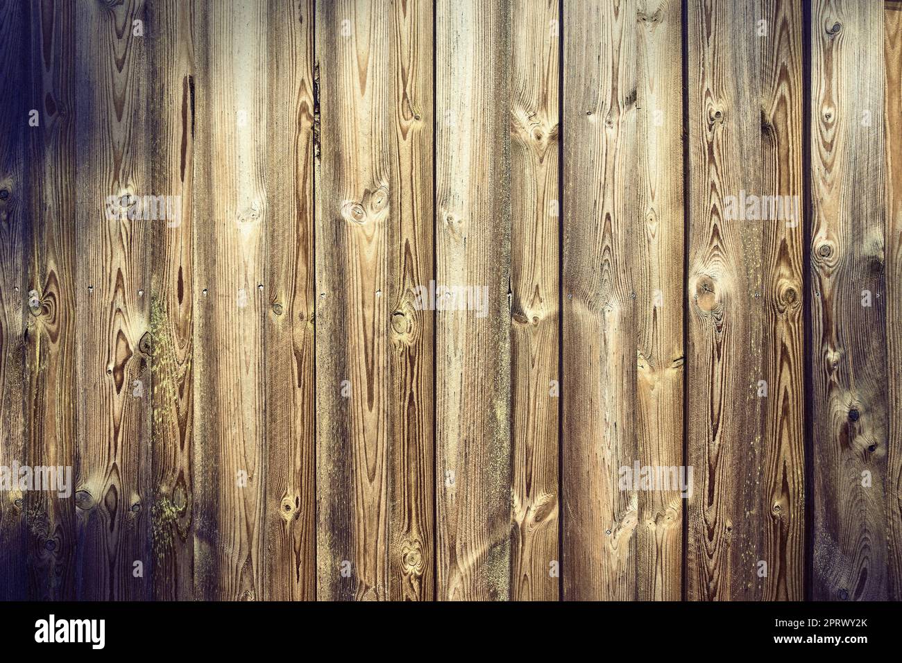 Close up view on different wood surfaces of planks logs and wooden ...