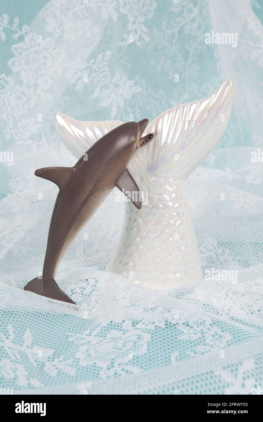 Dolphin and mermaid Stock Photo - Alamy