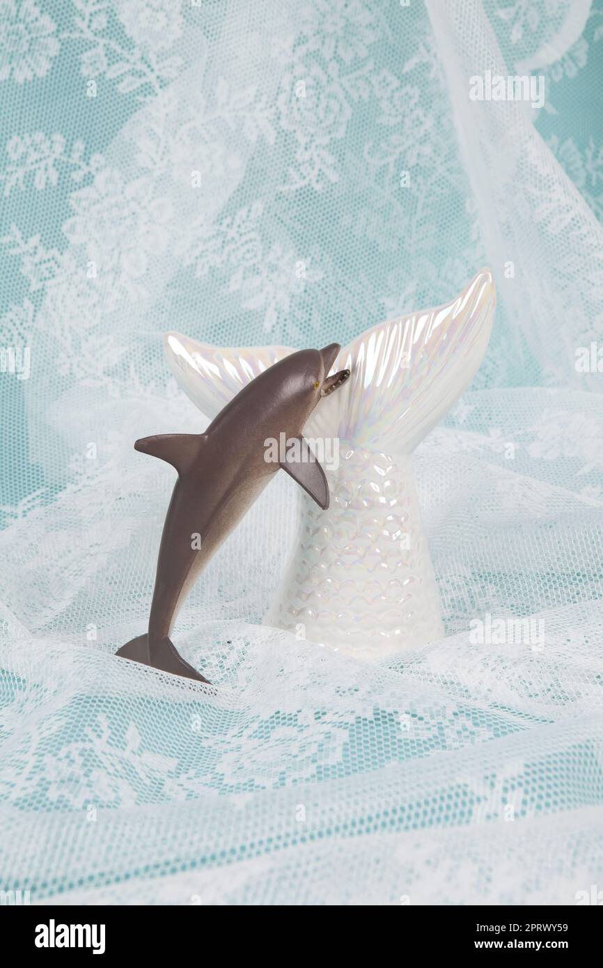 Real Mermaids And Dolphins