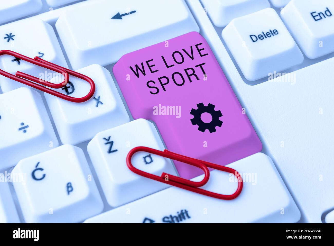 Text showing inspiration We Love Sport. Internet Concept To like a lot ...