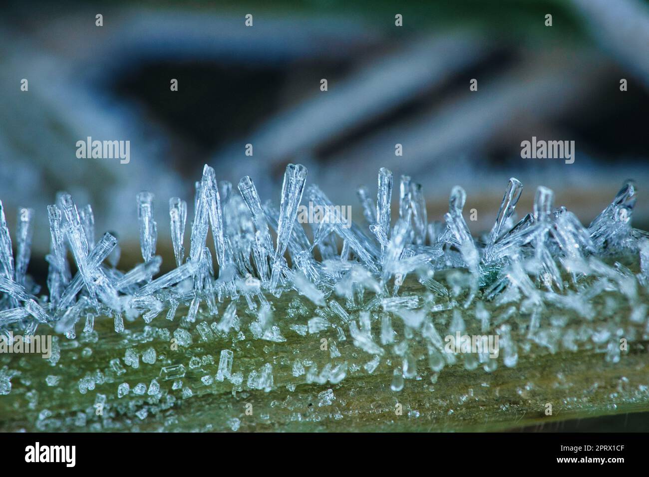 Frozen grass up close hi-res stock photography and images - Alamy