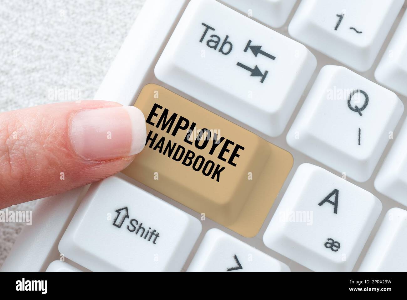 Writing Displaying Text Employee Handbookdocument That Contains An Operating Procedures Of