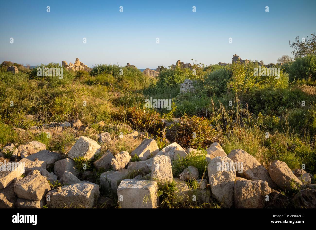 Unexcavated ruins buried by undergrowth at the ancient Roman city at ...