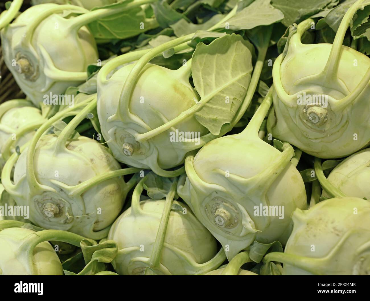 Kohlrabi close up hi-res stock photography and images - Alamy