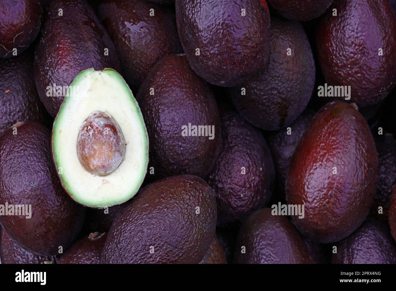 Fresh ripe purple avocado on retail display Stock Photo - Alamy