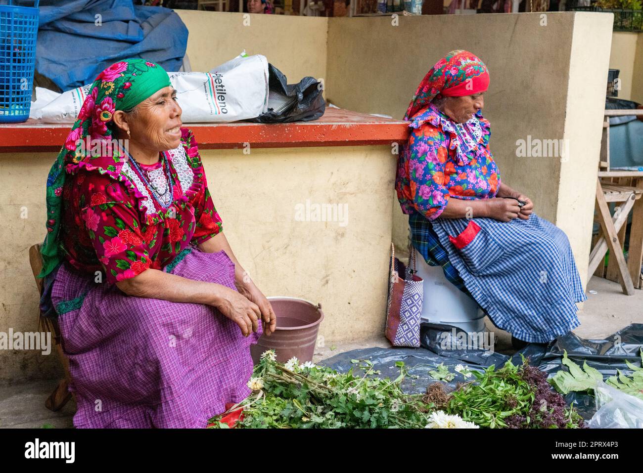 Two older indigenous Zapotec women in traditional dress in the market ...