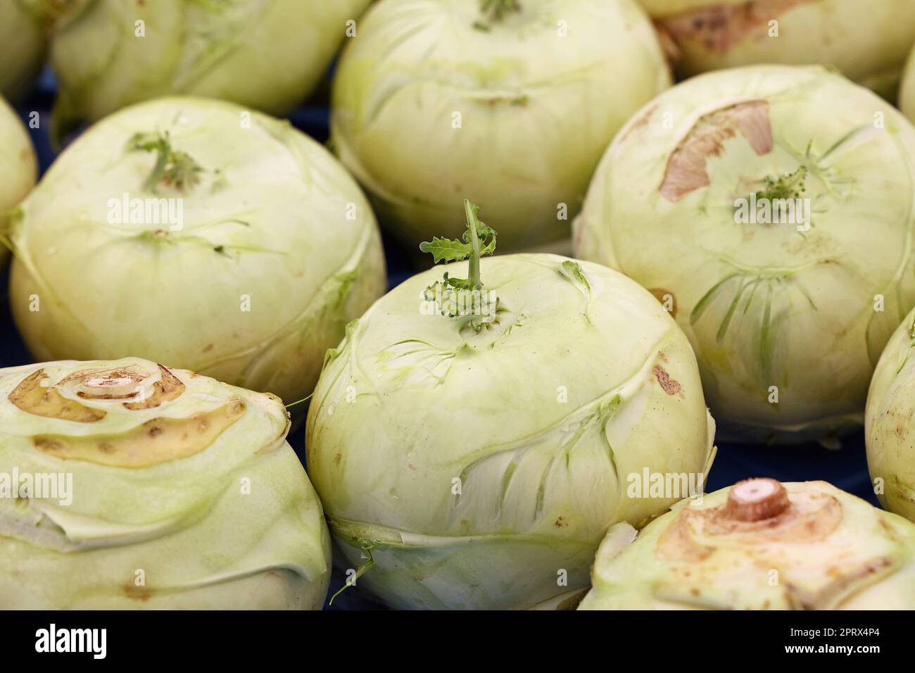 Kohlrabi close up hi-res stock photography and images - Alamy
