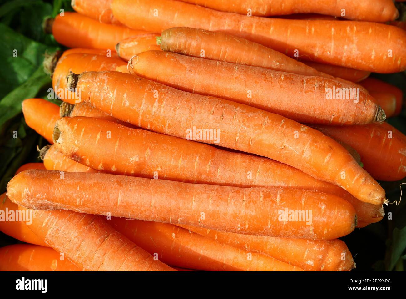 Close up close crop hi-res stock photography and images - Alamy