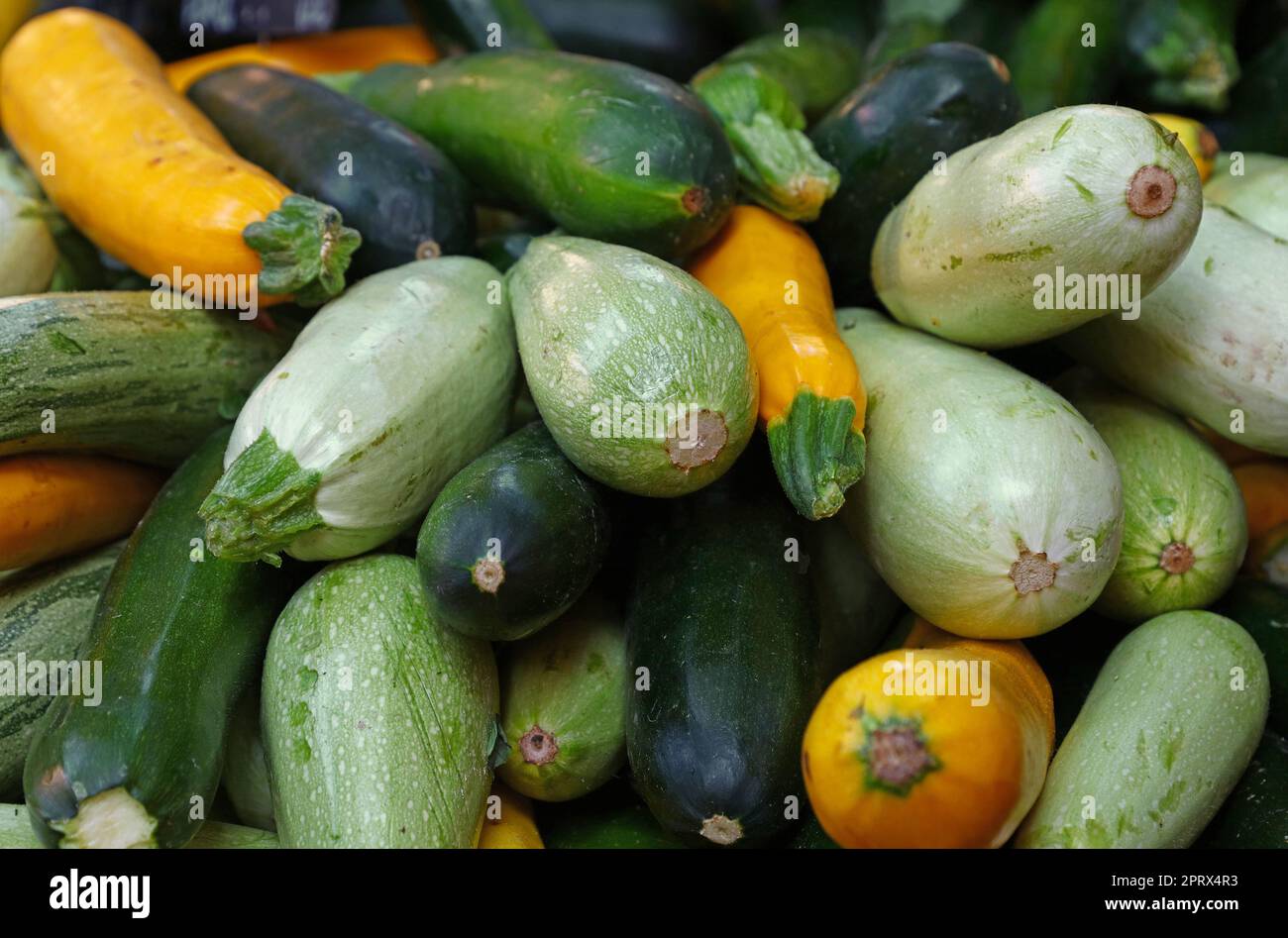 Close up food on display hi-res stock photography and images - Alamy
