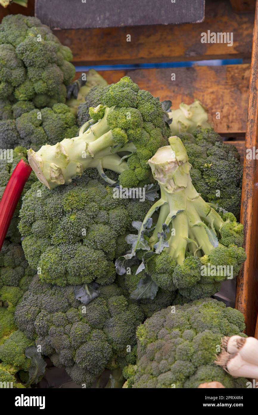 Broccoli on display hi-res stock photography and images - Alamy