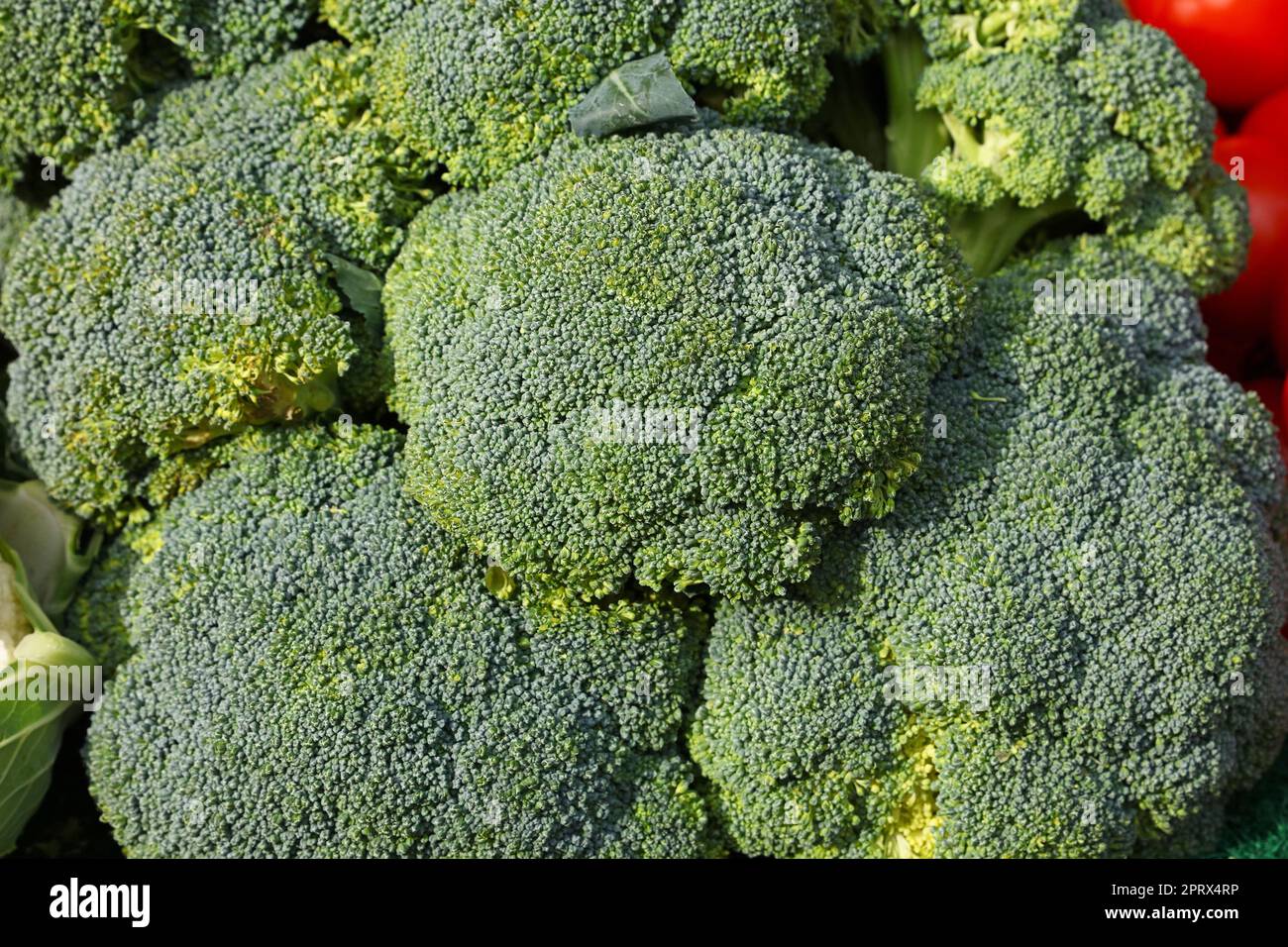 Close up fresh green broccoli on retail display Stock Photo - Alamy