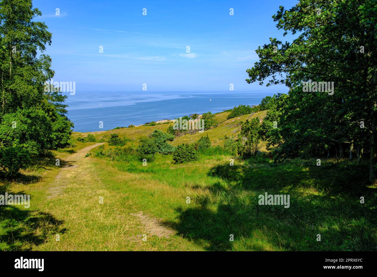 Beautiful scenic landscape and vegetation on the west coast of Hammeren ...