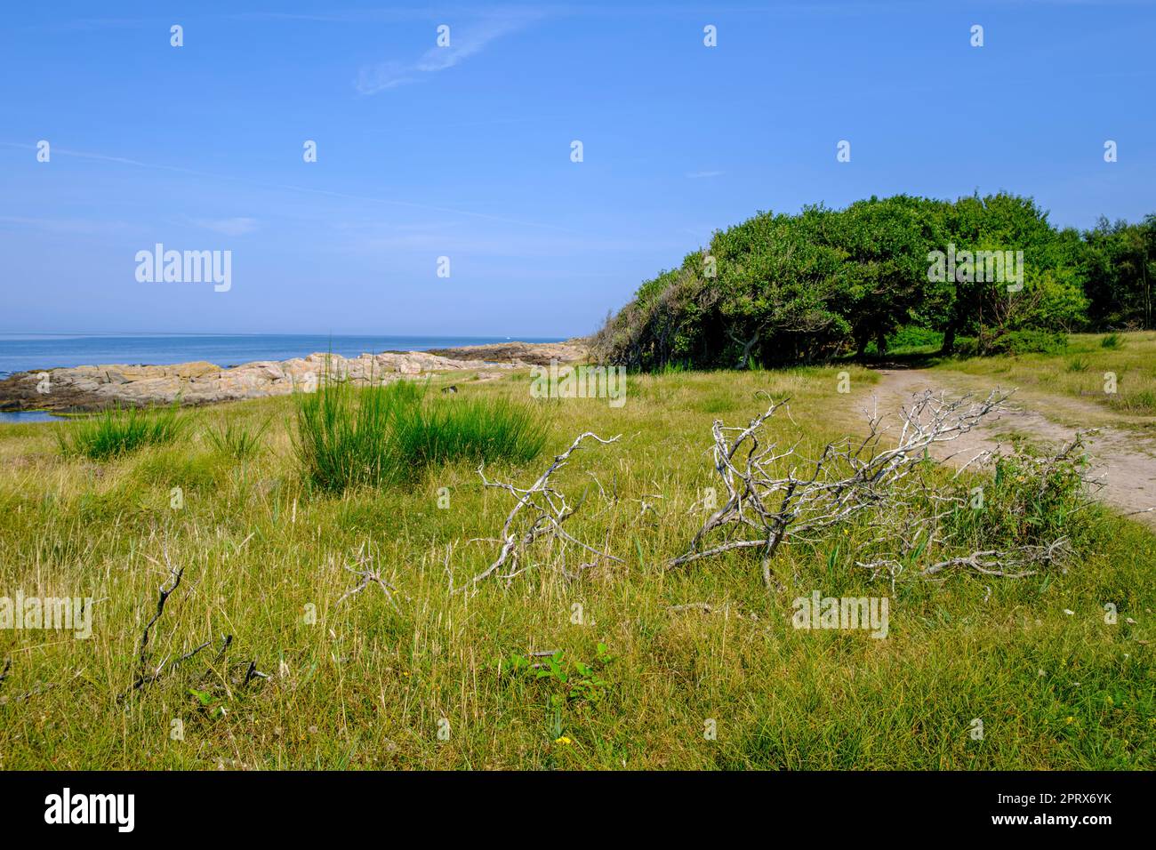 Beautiful scenic landscape and vegetation on the west coast of Hammeren ...