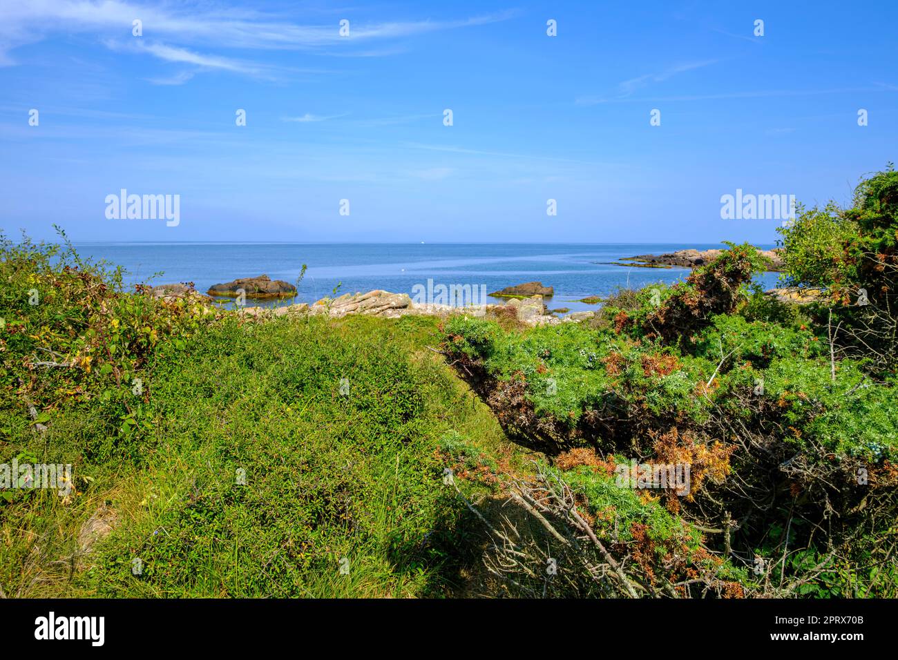 Beautiful scenic landscape and vegetation on the west coast of Hammeren ...