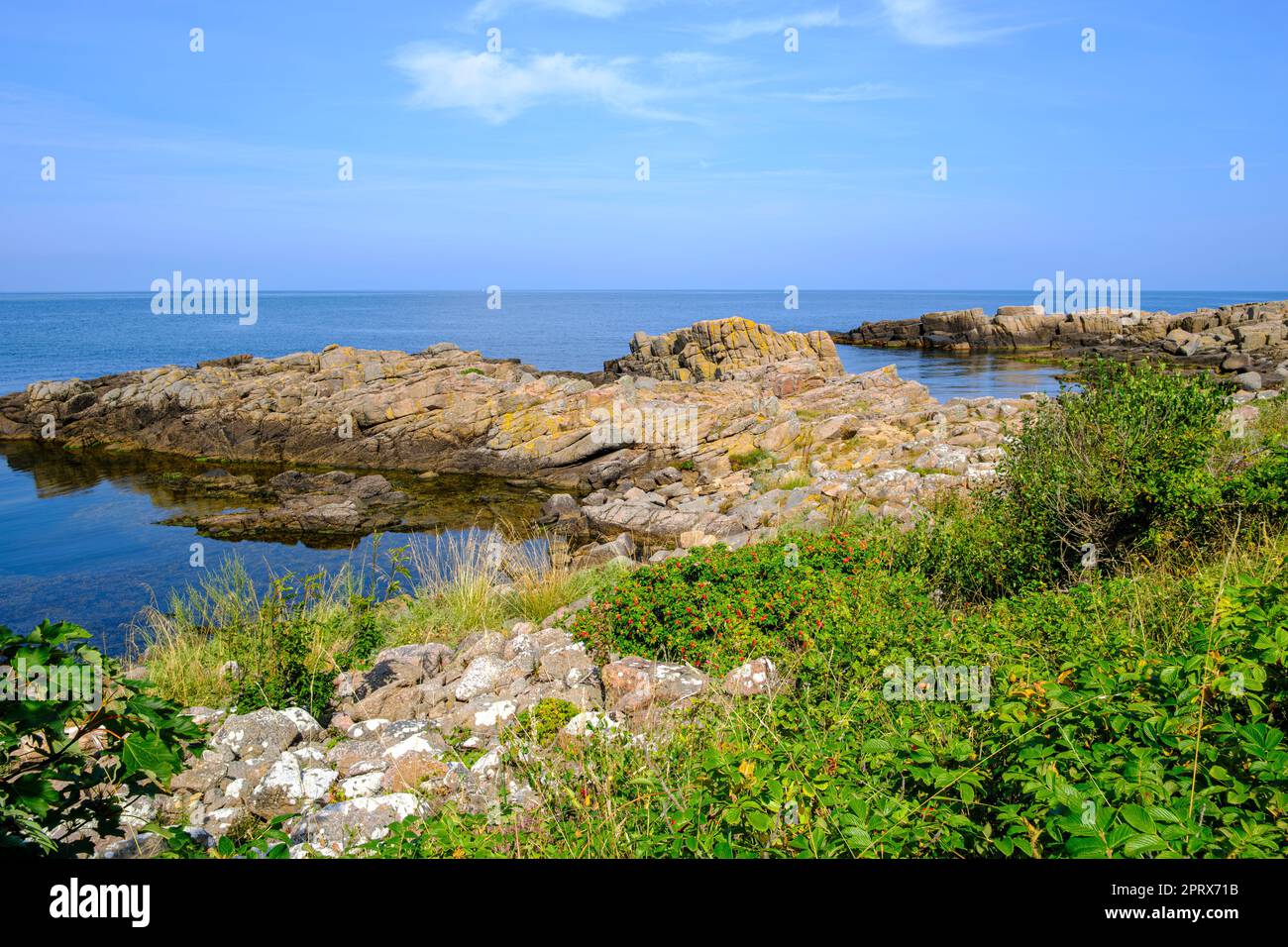 Beautiful scenic landscape and vegetation on the west coast of Hammeren ...